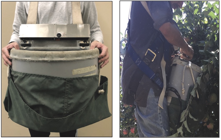 Zhenghao Fei - Research