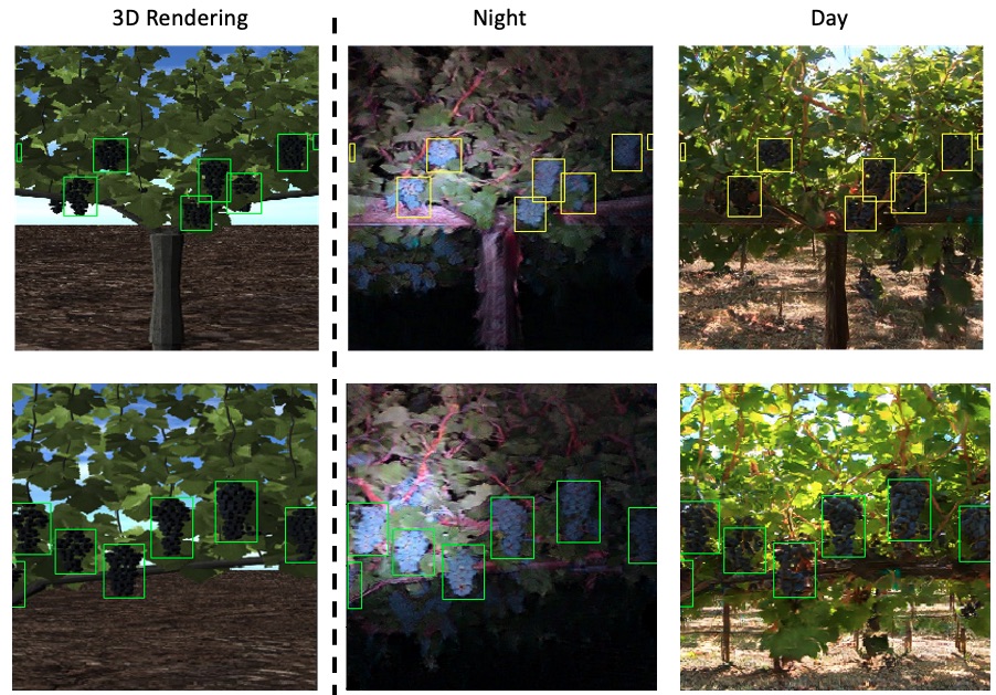 Zhenghao Fei - Research