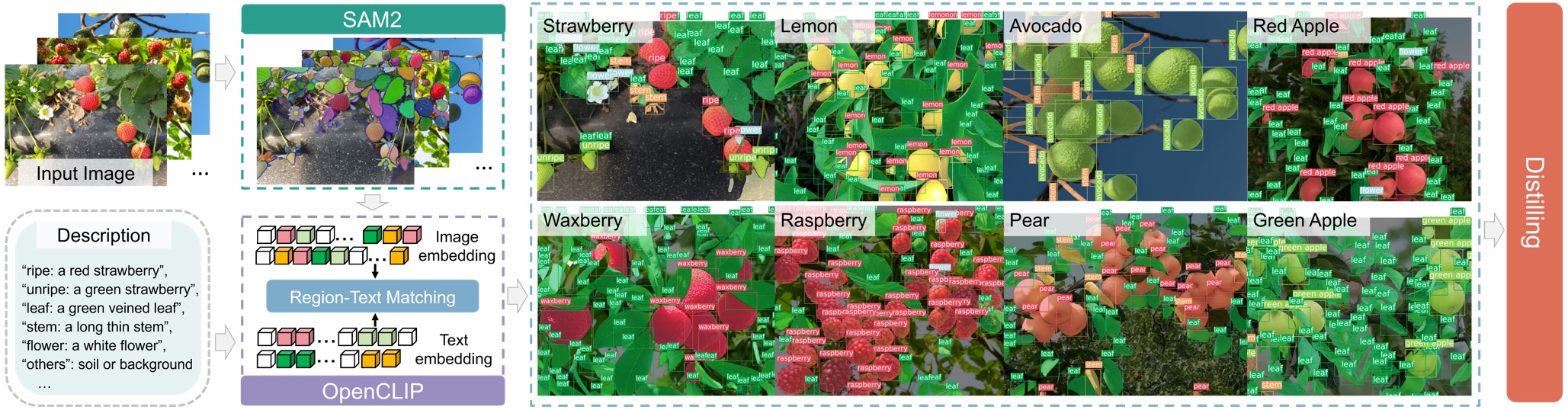 Zhenghao Fei - Research